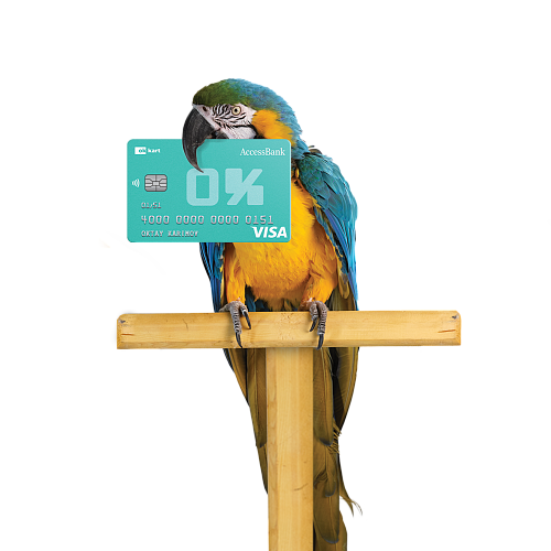 AccessBank Main page